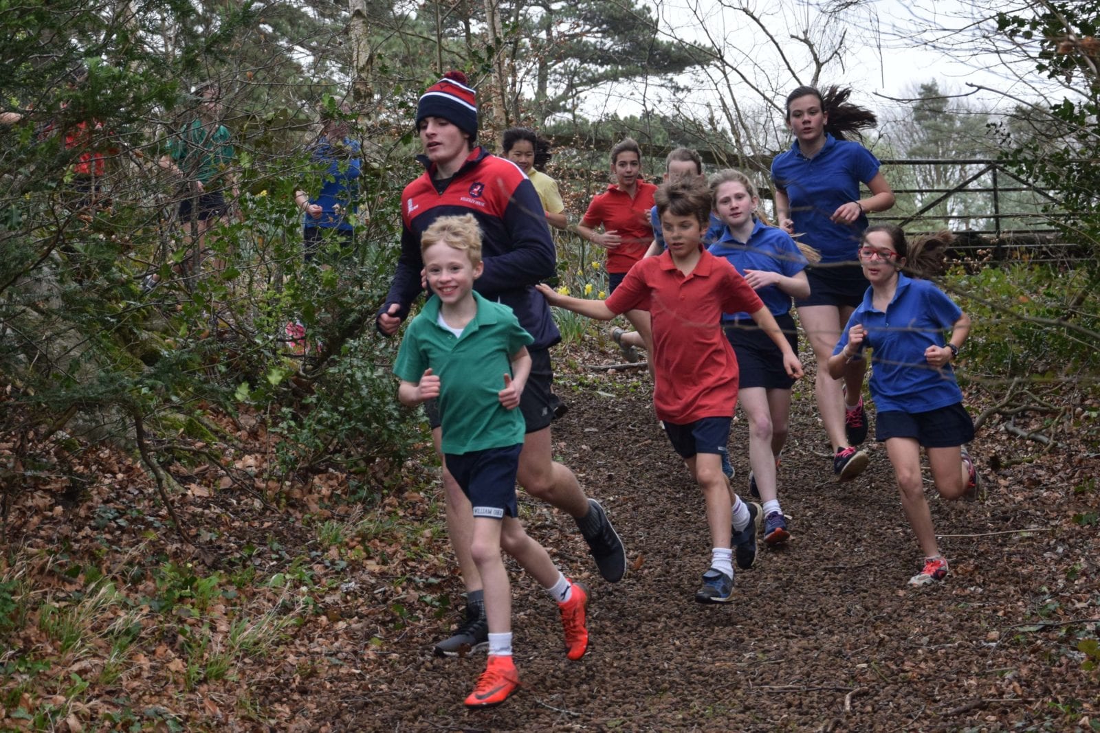 A review of Denne Hill - Wellesley Haddon Dene