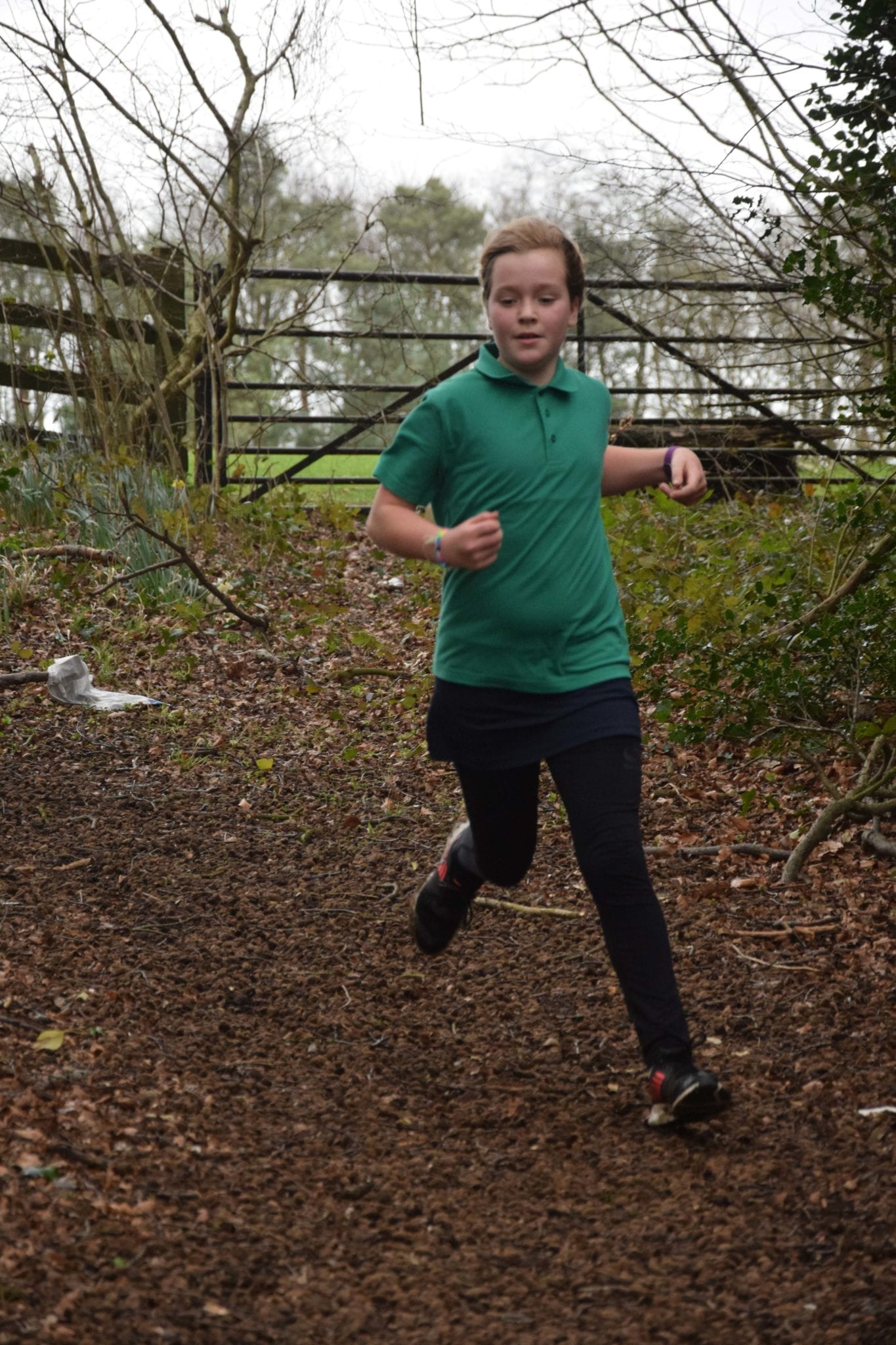 A review of Denne Hill - Wellesley Haddon Dene