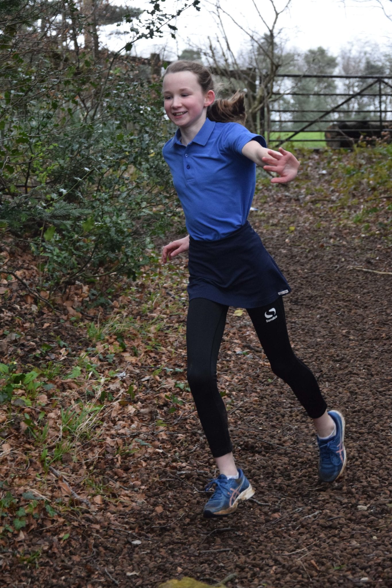 A review of Denne Hill - Wellesley Haddon Dene